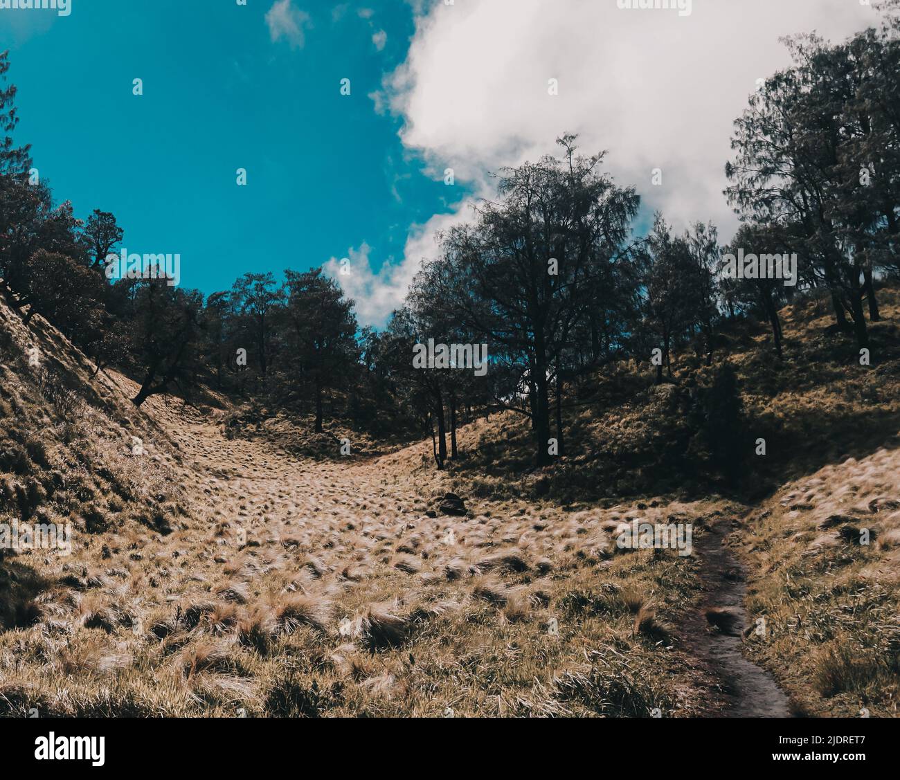 Mount lawu hi-res stock photography and images - Alamy