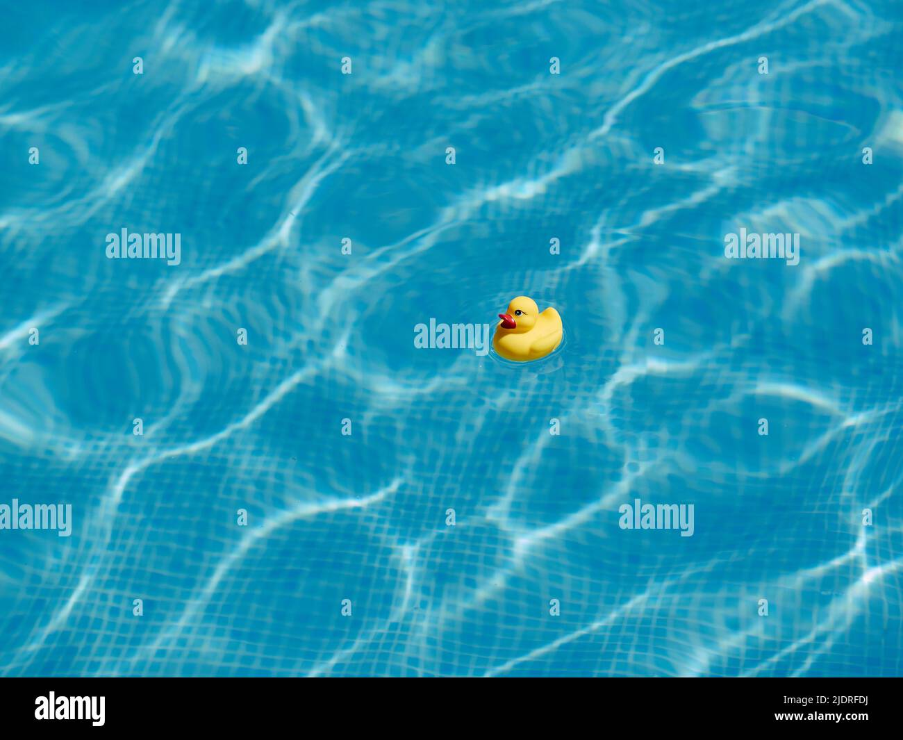 Yellow rubber duck floating in a pool Stock Photo - Alamy