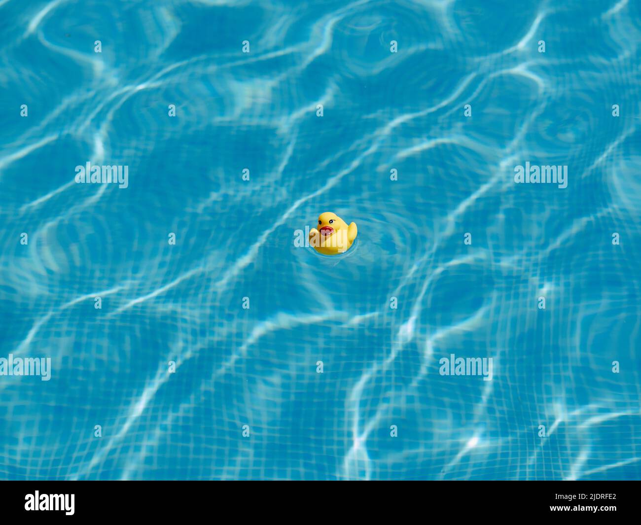 Pool water yellow duck hi-res stock photography and images - Alamy