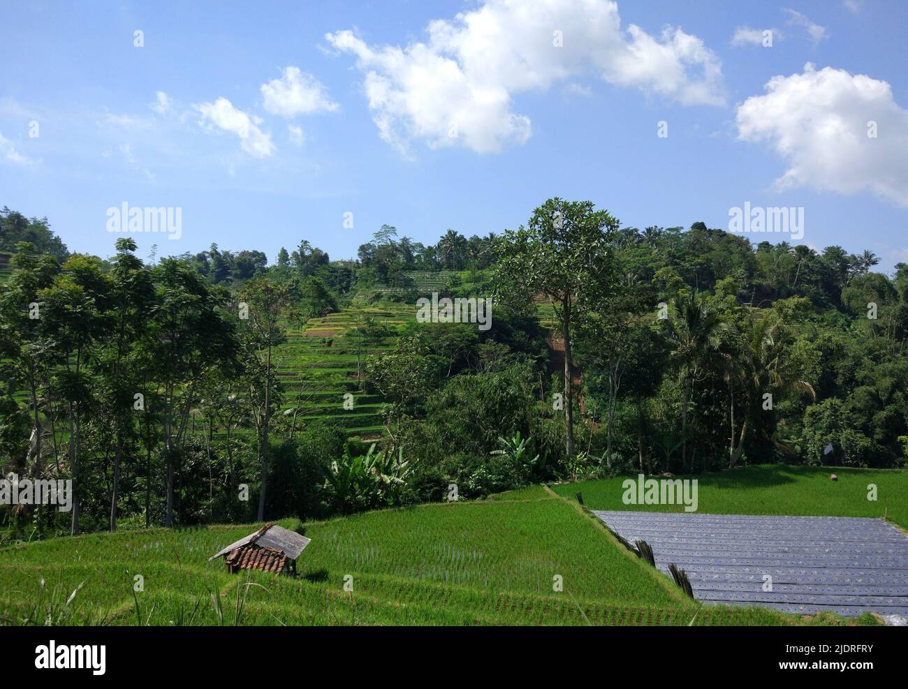 Tasikmalaya hi-res stock photography and images - Alamy