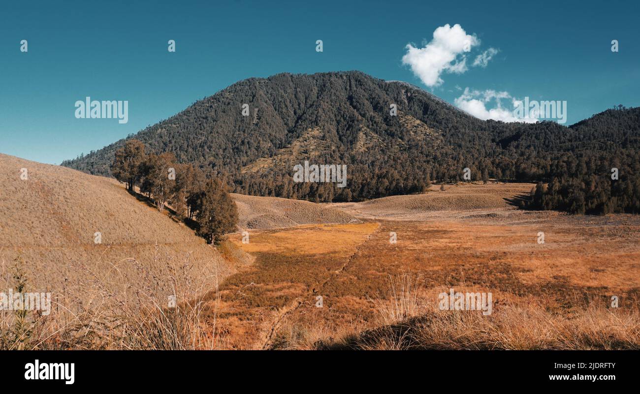 Oro valley mountains hi-res stock photography and images - Alamy