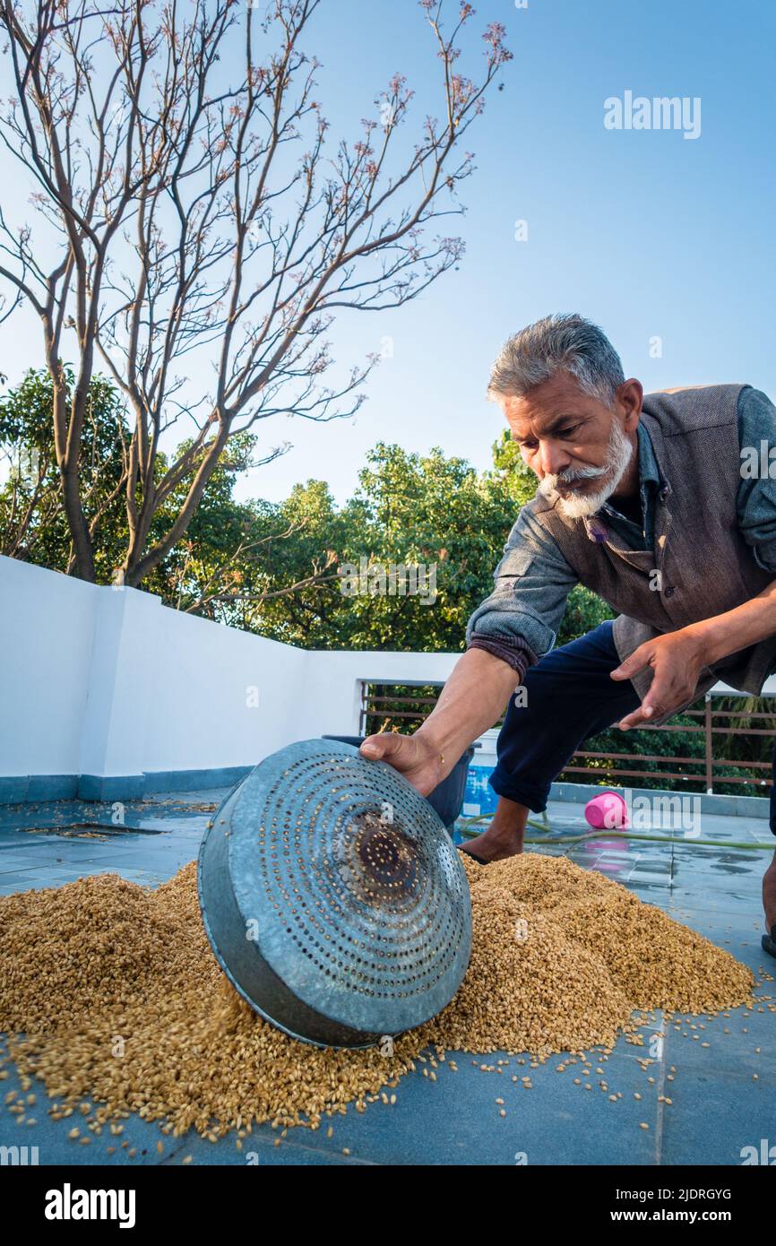 Farmer wheat seeds hi-res stock photography and images - Alamy