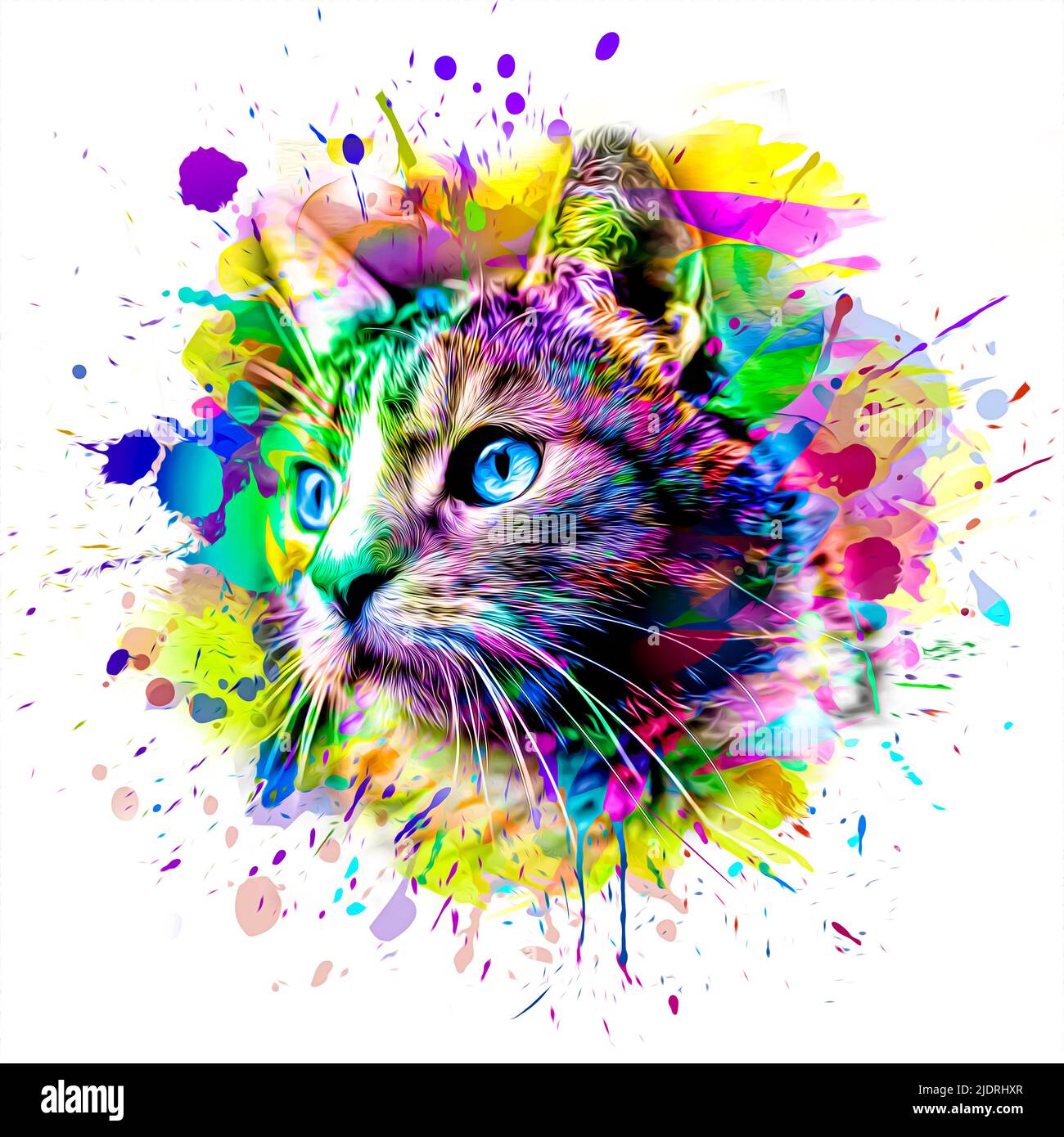 abstract colorful cat muzzle illustration, graphic design concept color ...
