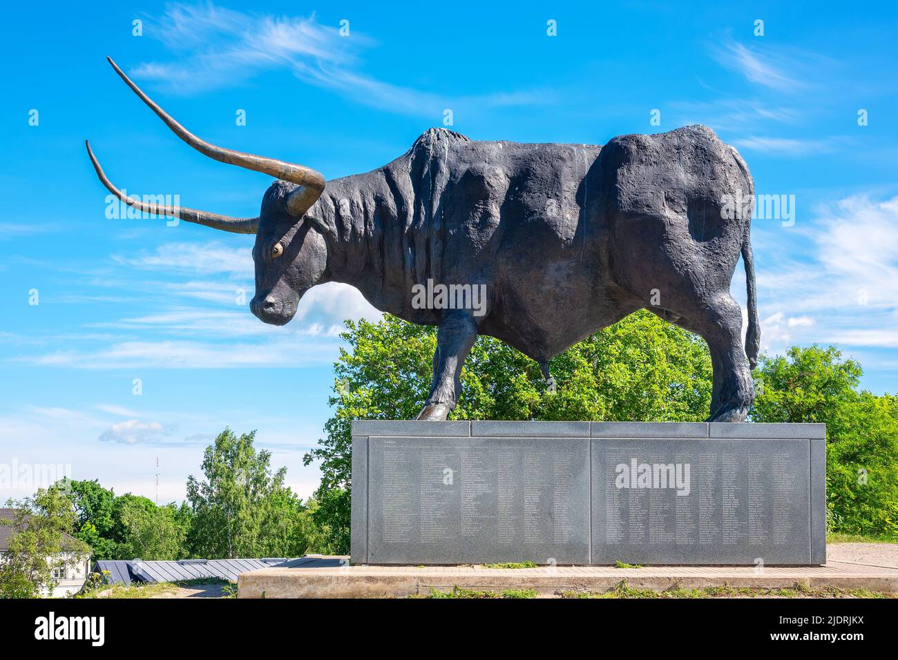 View to bronze Tarvas statue of aurochs bull. Rakvere, Estonia Stock ...