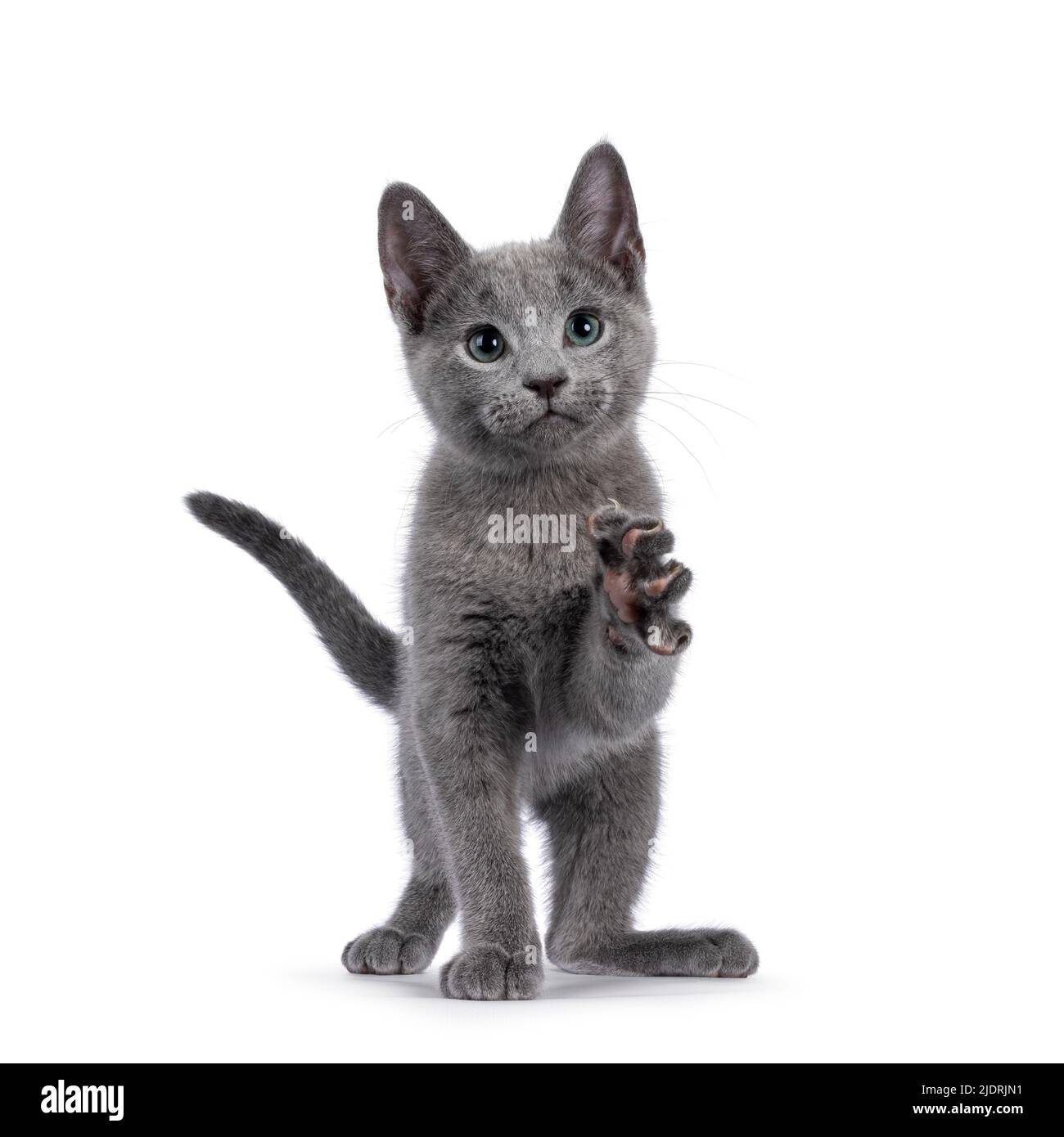 Russian air front Cut Out Stock Images & Pictures - Alamy