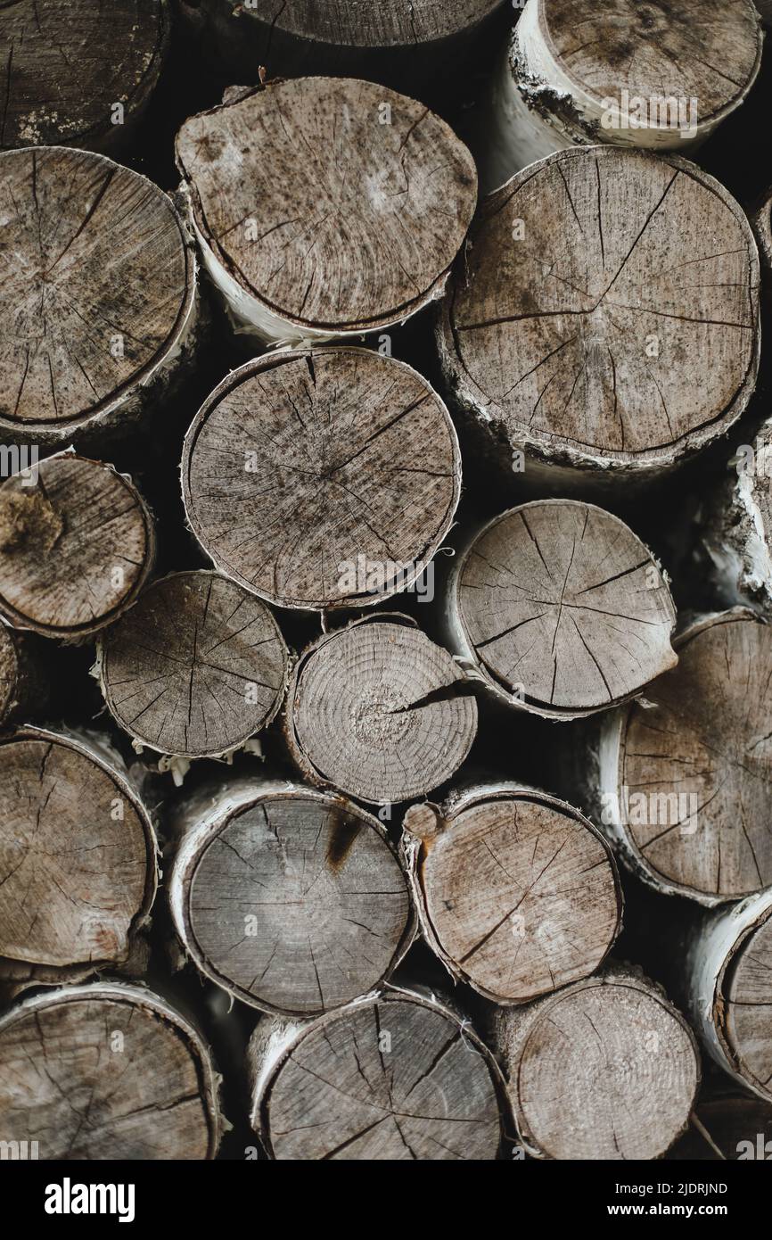 texture of wooden logs of different sizes lying in a heap Stock Photo ...