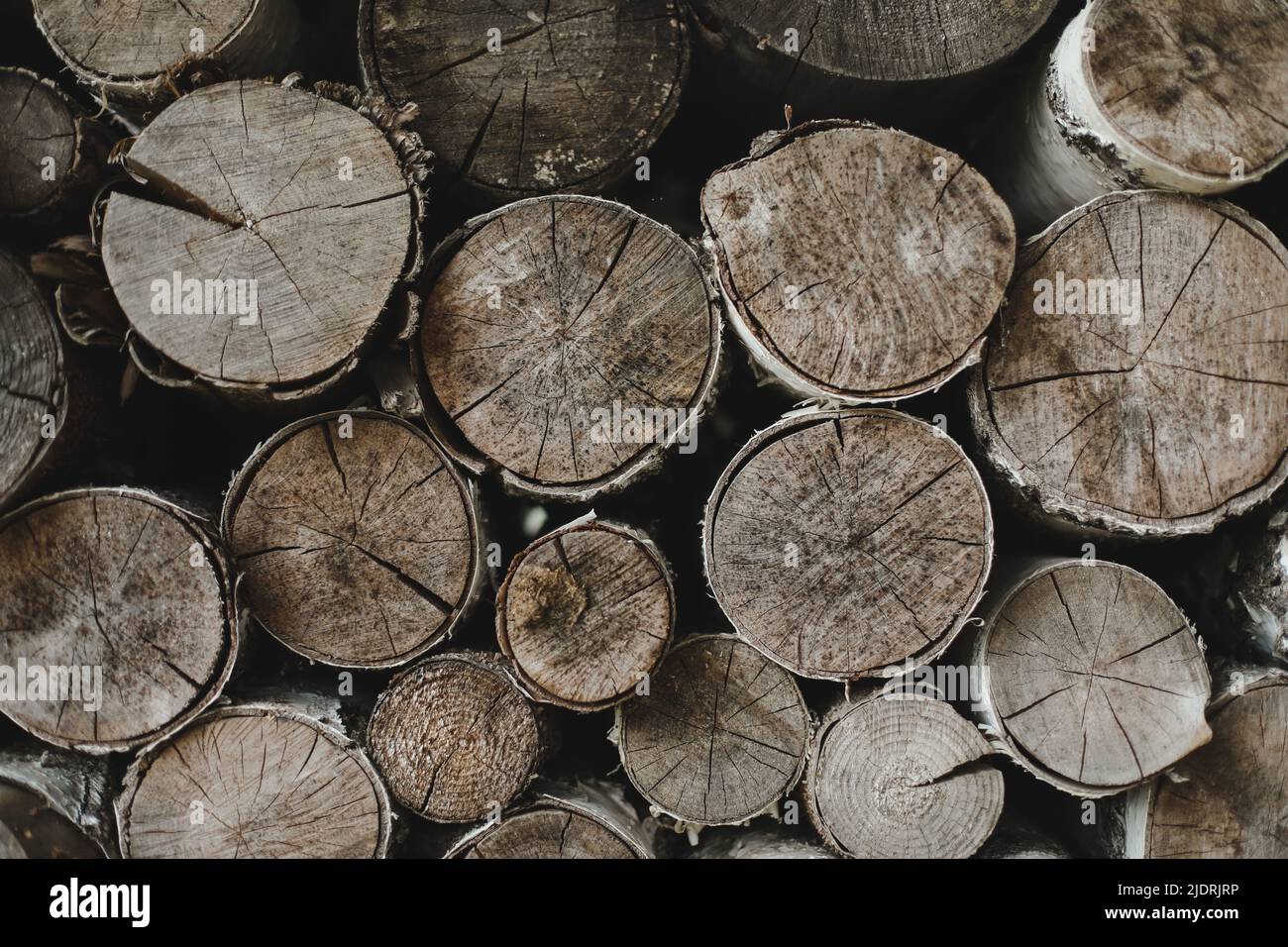 texture of wooden logs of different sizes lying in a heap Stock Photo ...