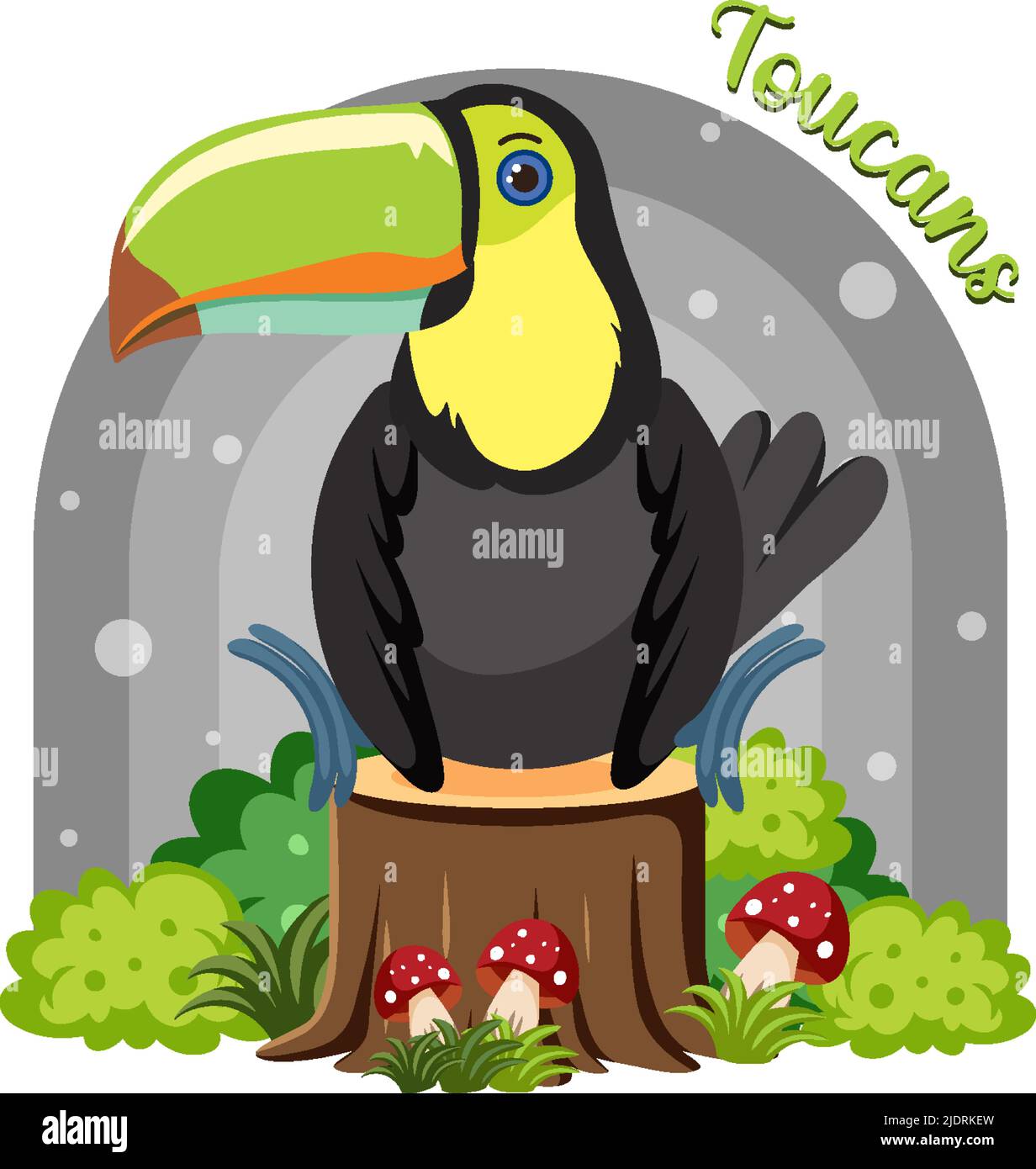 Toucan bird in cartoon style illustration Stock Vector Image & Art - Alamy