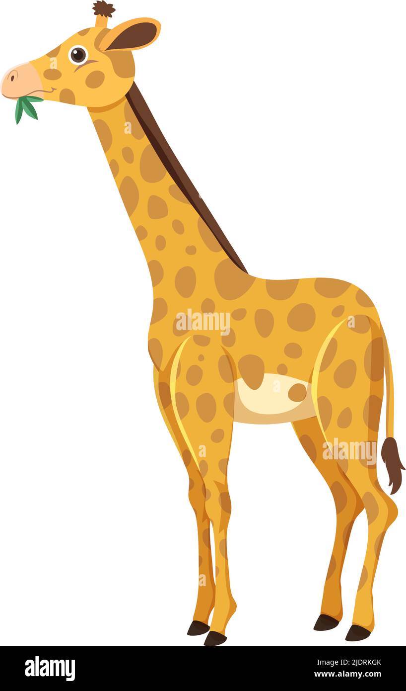 Giraffe Cartoon