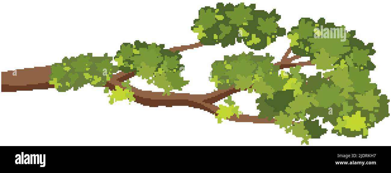 Isolated tree branch on white background illustration Stock Vector ...