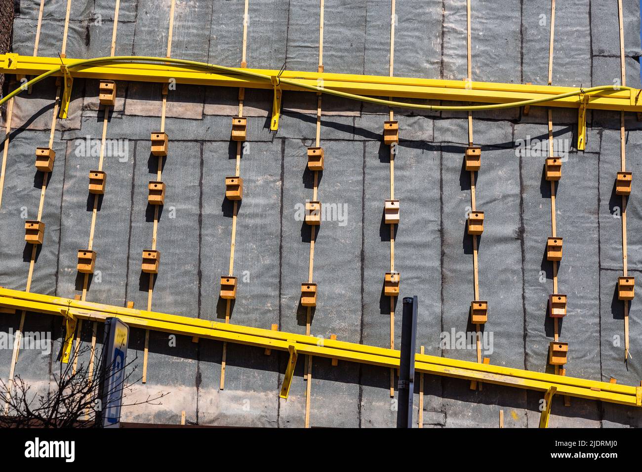Alignment of nest boxes hung on the lathing on an exposed wall of a ...