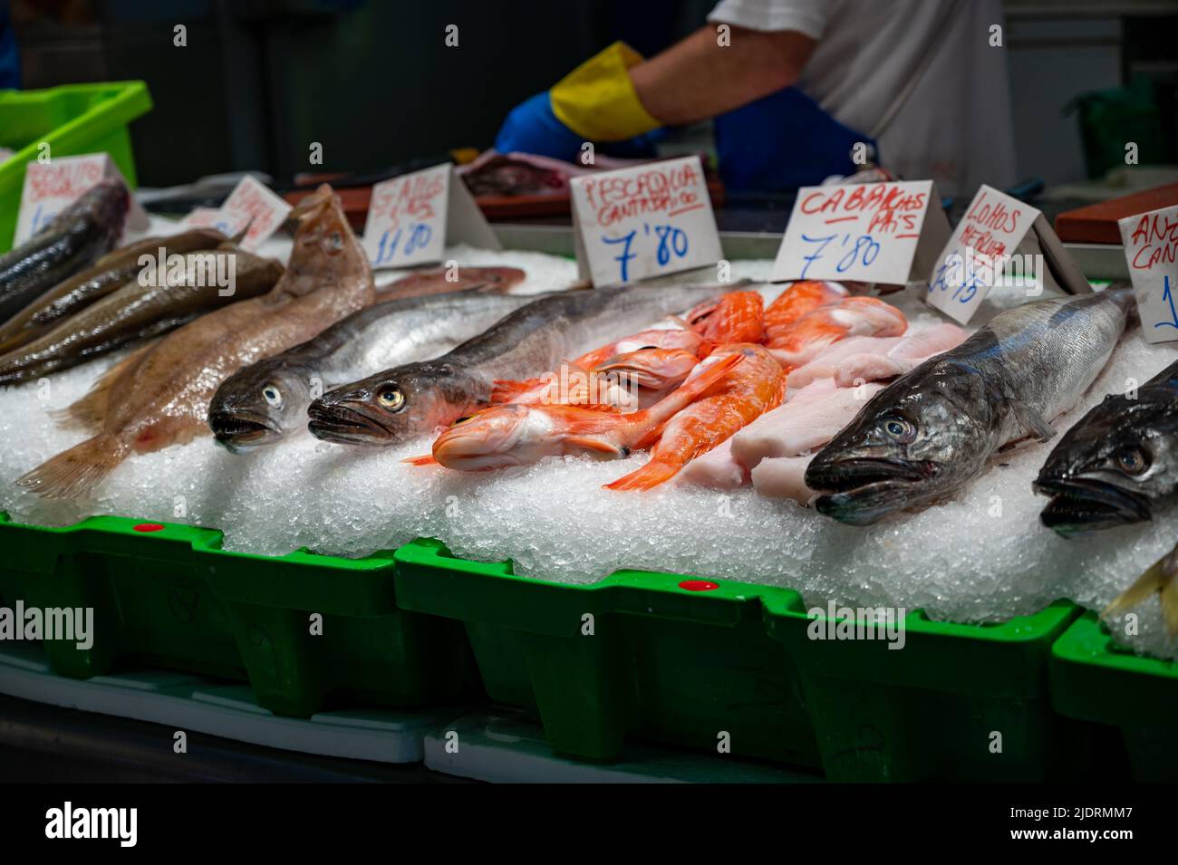Assortment of fresh daily catch of fishes, seashells, molluscs on ice ...