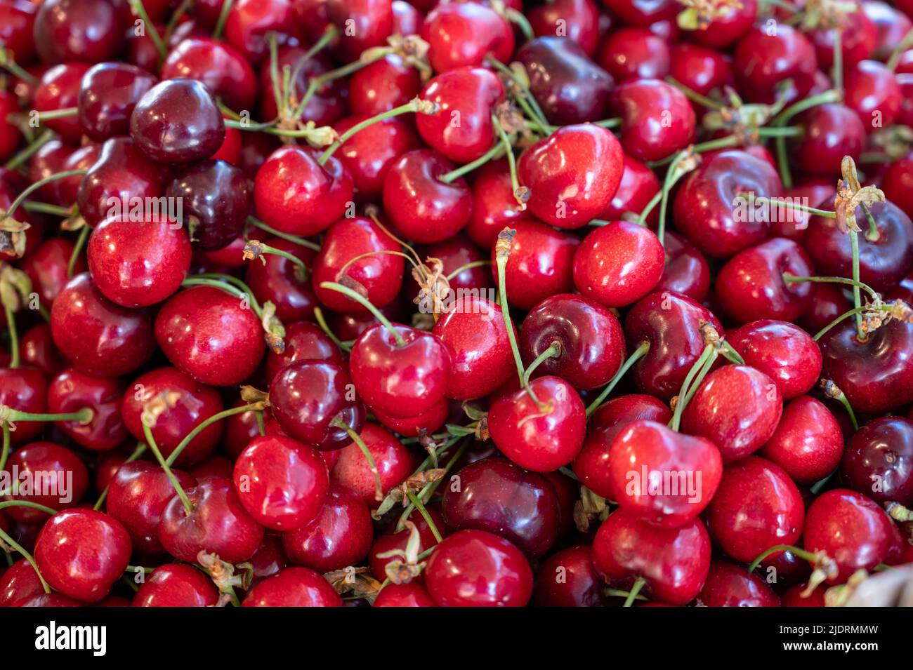 New season of ripe red sweet cherry summer fruits, cherry for sale on ...