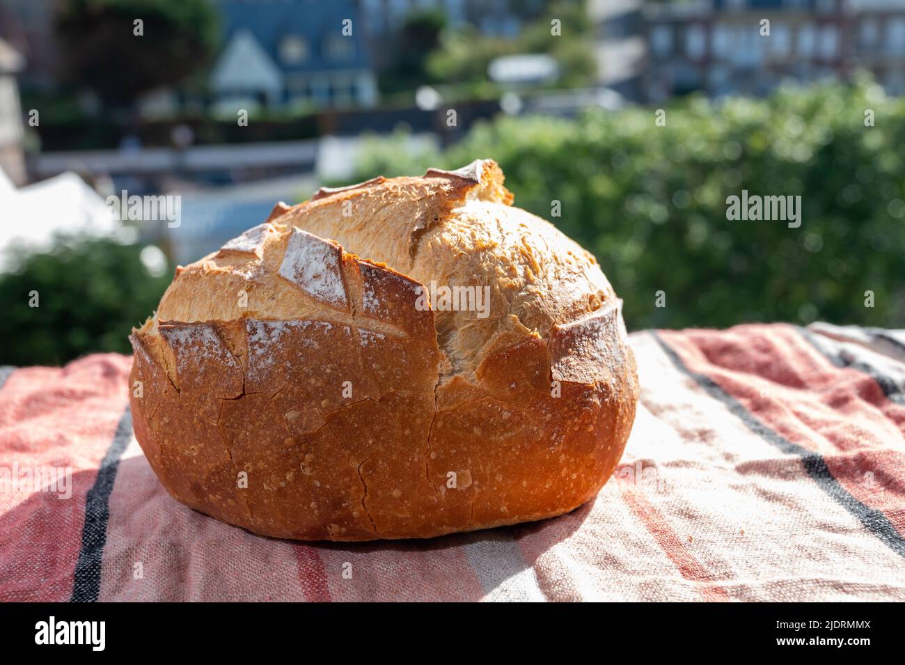 White wheat round baked farmers bread pain from artisanal French bakery ...