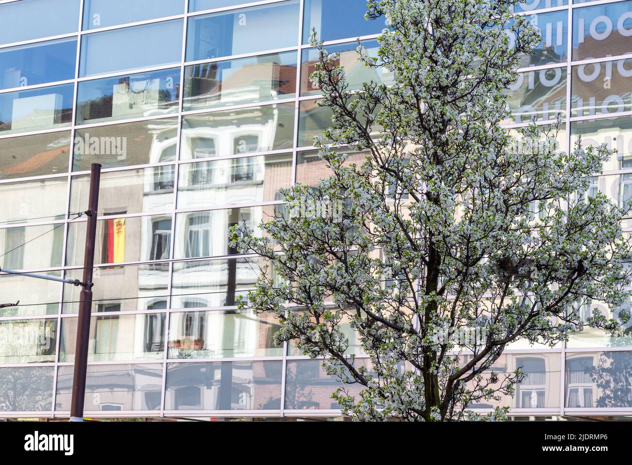 Threading of facades hi-res stock photography and images - Alamy