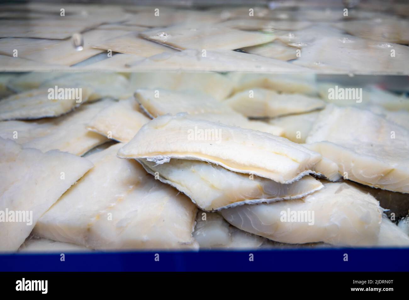 White salted and dried bacalao codfish in watertank, traditional ...