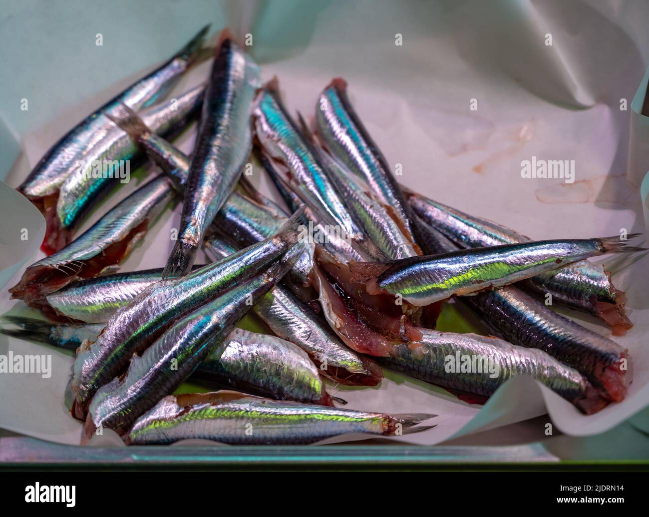 Fillets of fresh small salted anchovies fish on fish market in Bilbao ...