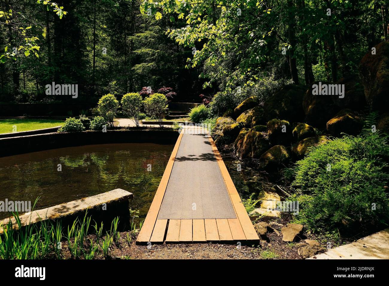 Pathway over forest hi-res stock photography and images - Alamy
