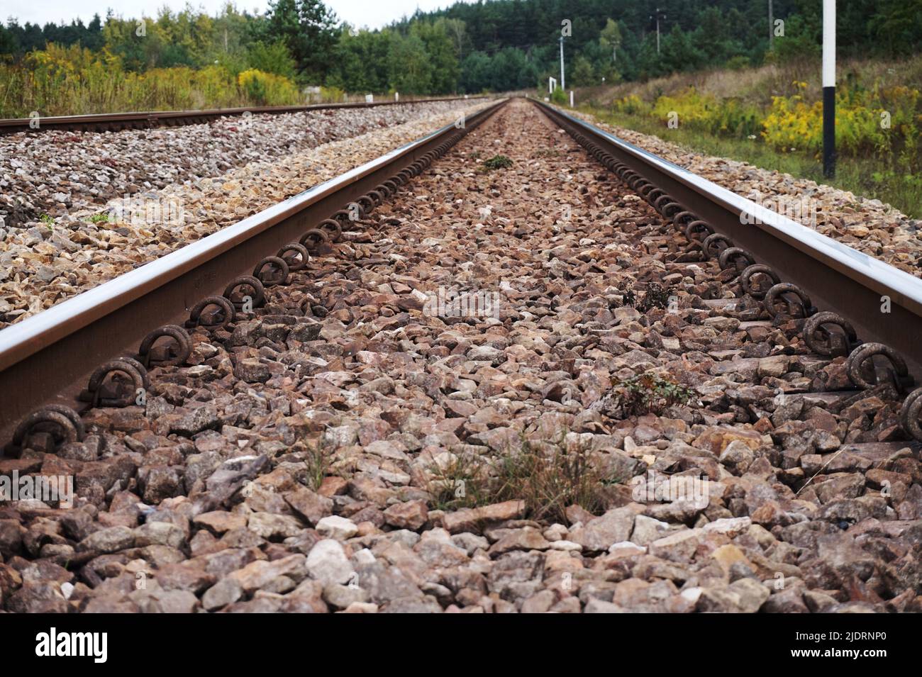 Train track/ railroad - perspective Stock Photo - Alamy