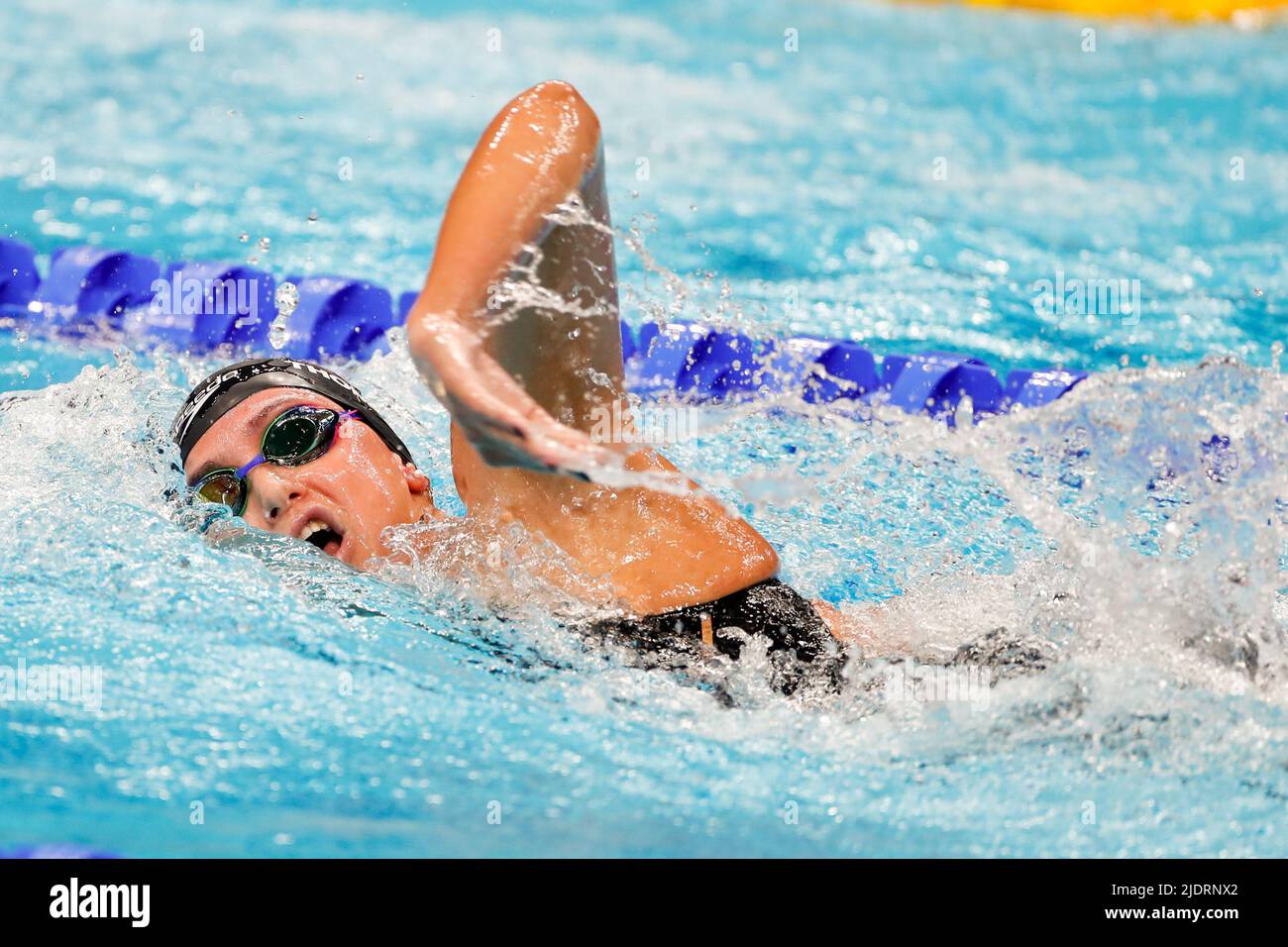 Eve thomas of new zealand hi-res stock photography and images - Alamy