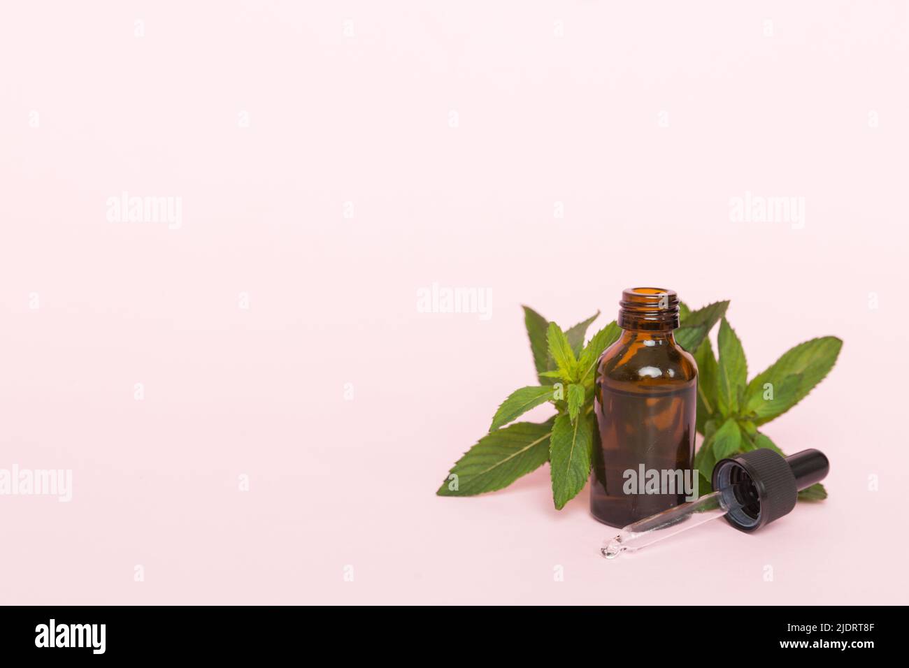 Natural Mint Essential Oil in a Glass Bottle. organic cosmetics with ...