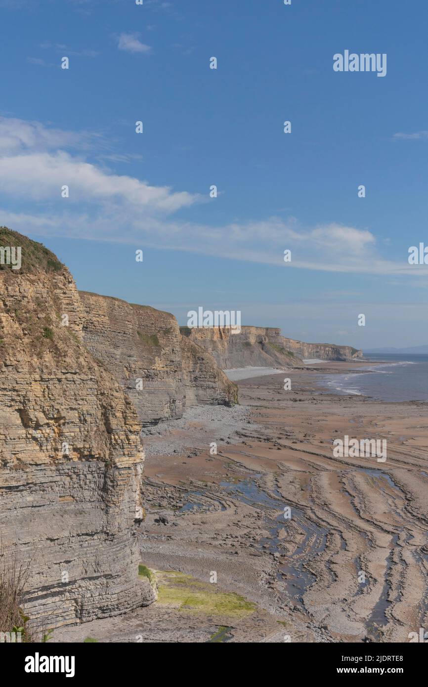 Dunraven bay fossil hi-res stock photography and images - Alamy
