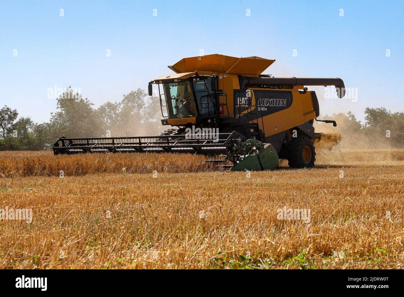 A combine harvester collects grain crops in a field in Odesa Region ...