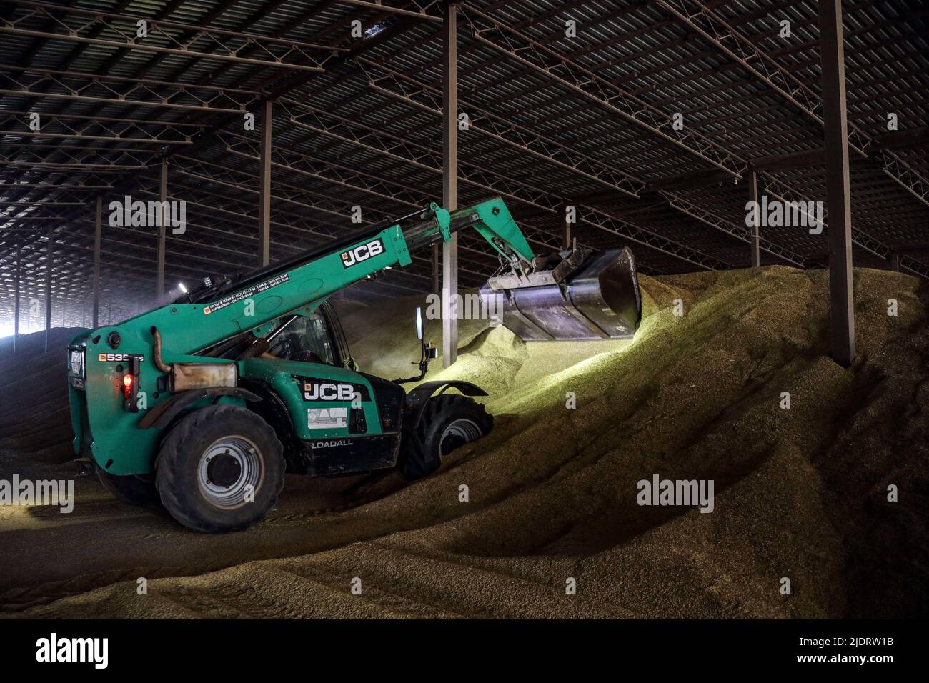 A bucket loader piles up grain at a warehouse in Odesa Region, southern ...