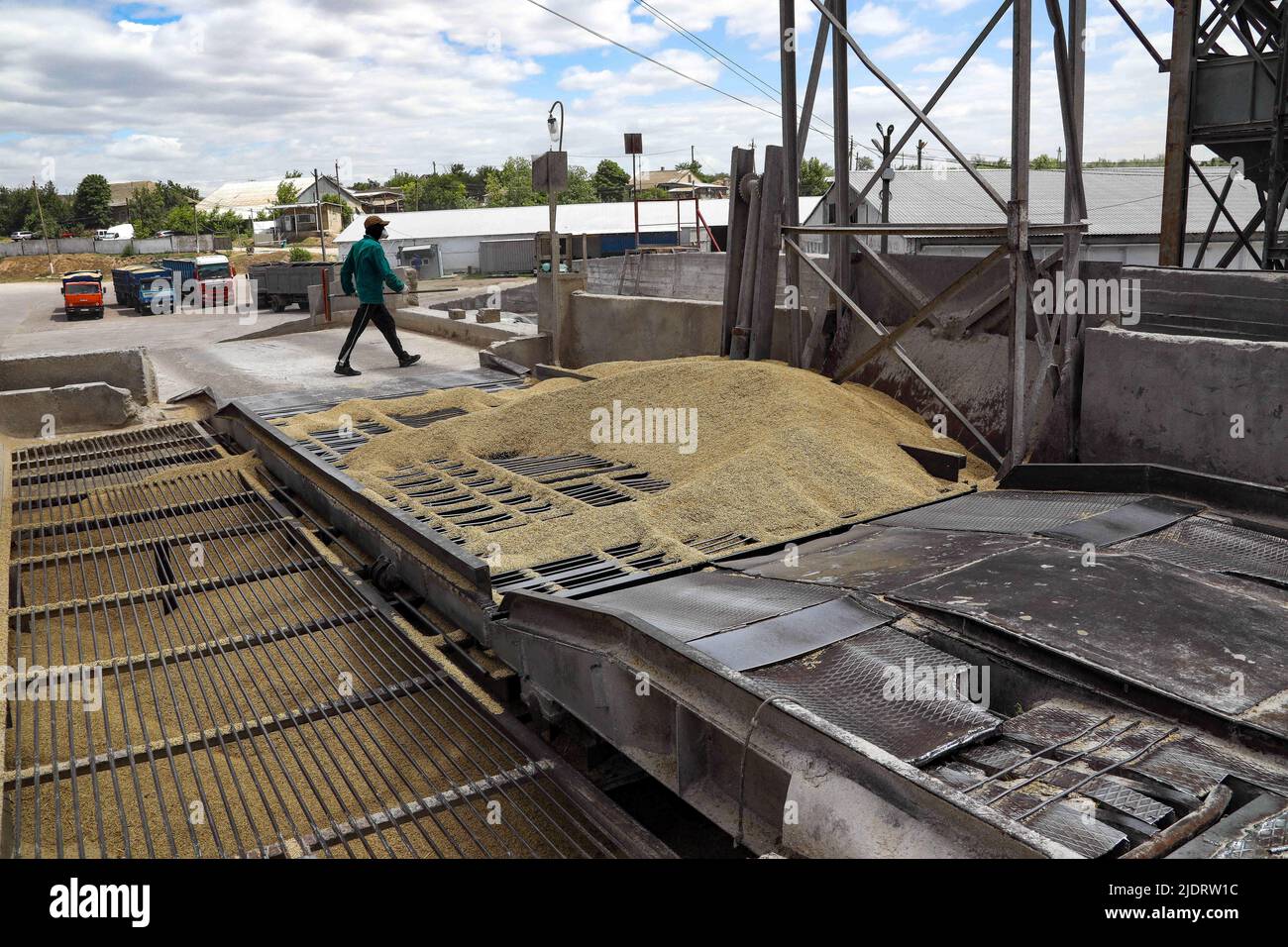 Grain is stored at a facility in Odesa Region, southern Ukraine, June ...
