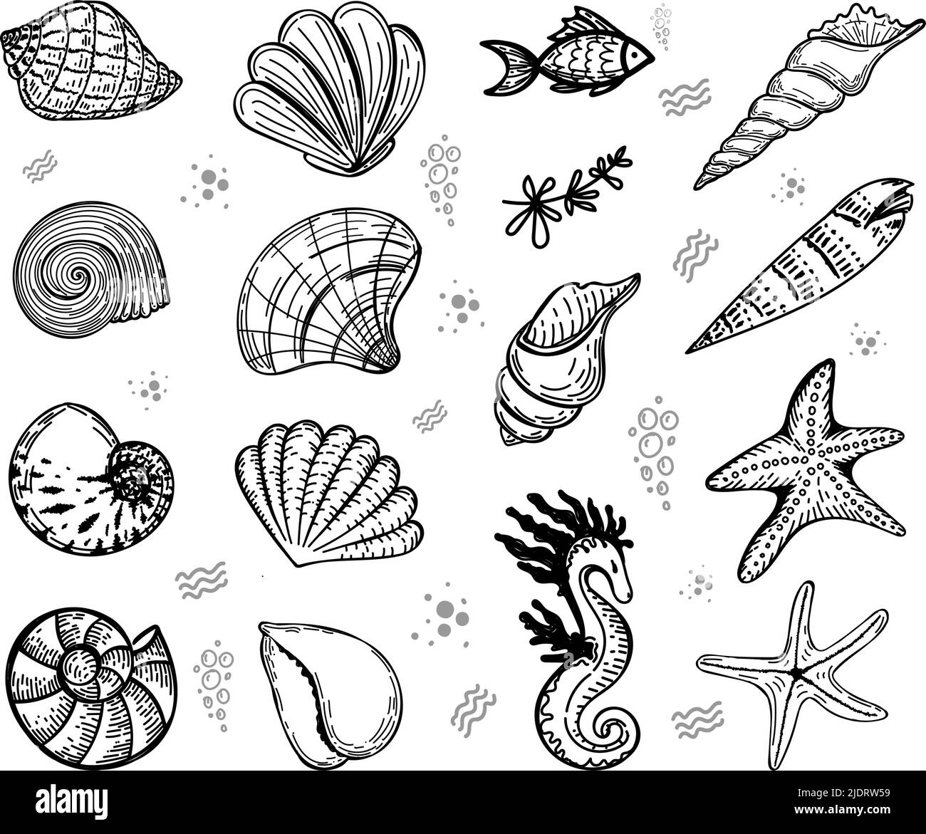 Set of sea creatures, hand-drawn in sketch style. Shells, seaweed, fish ...