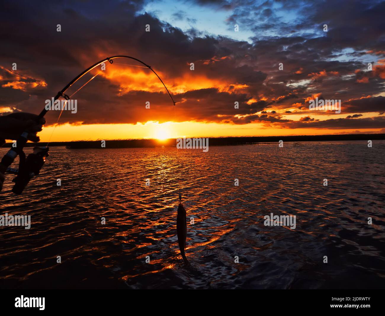 Fishing at sunset. Catching predatory fish on spinning. Sunset colors ...