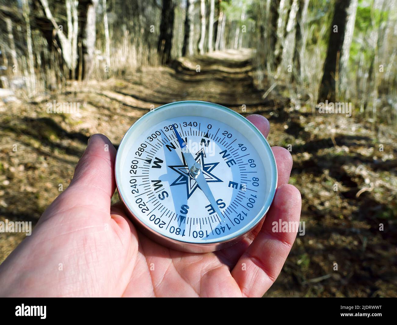 Spring calls for a journey. A forest road and a hiker's hand with a ...