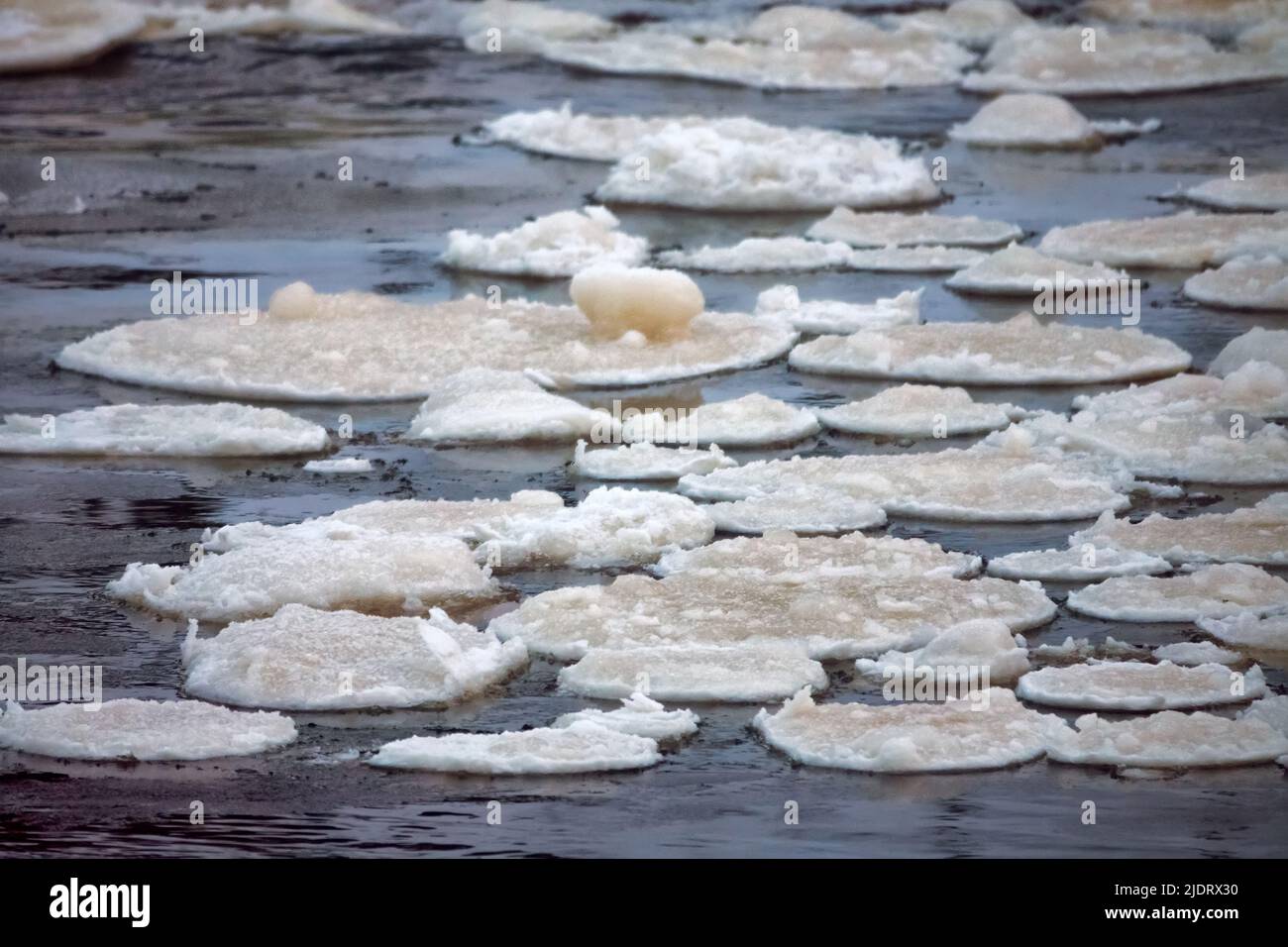 Lily pad ice hi-res stock photography and images - Alamy