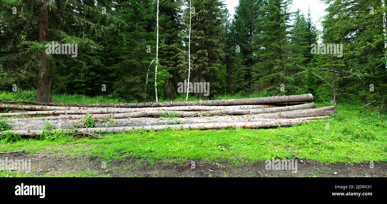 Timber prop hi-res stock photography and images - Alamy