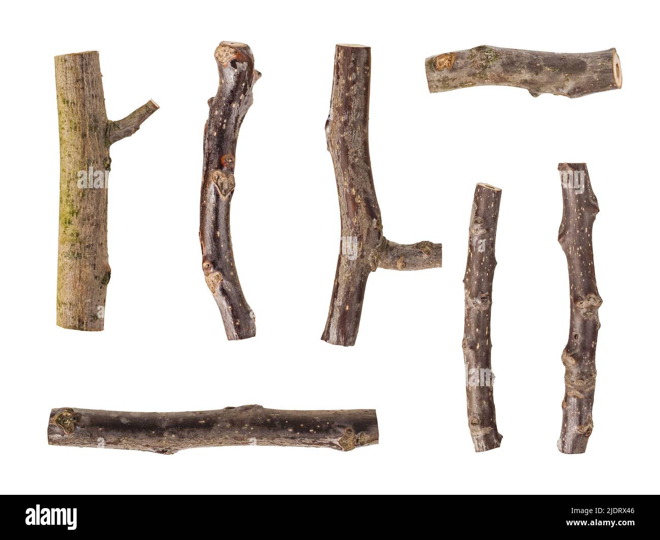 Set of dry tree sticks isolated on white background Stock Photo - Alamy