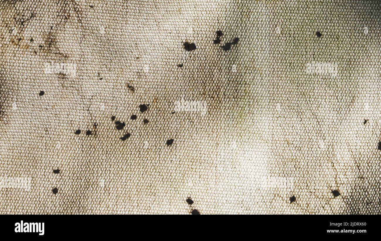 Esthetic dirty fabric, clothing with moss, old cloth, clipart design ...