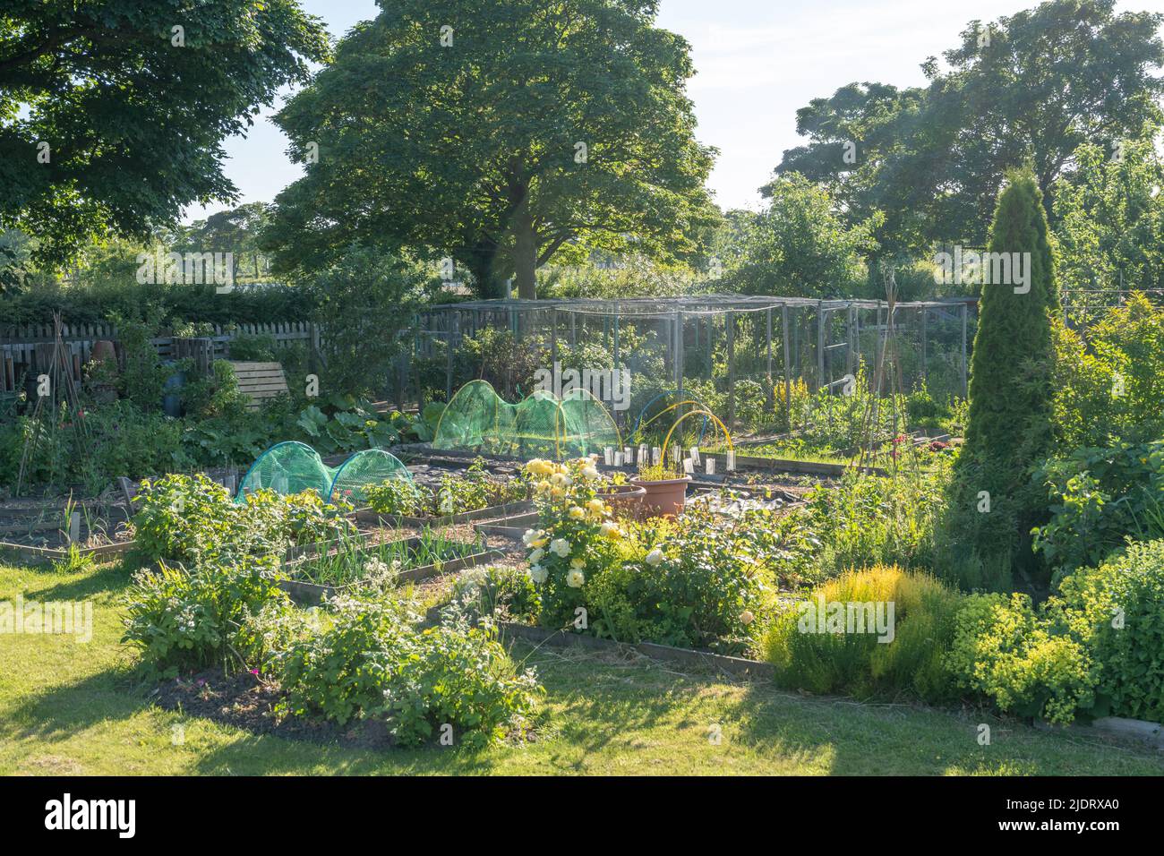 Summer starts hi-res stock photography and images - Alamy