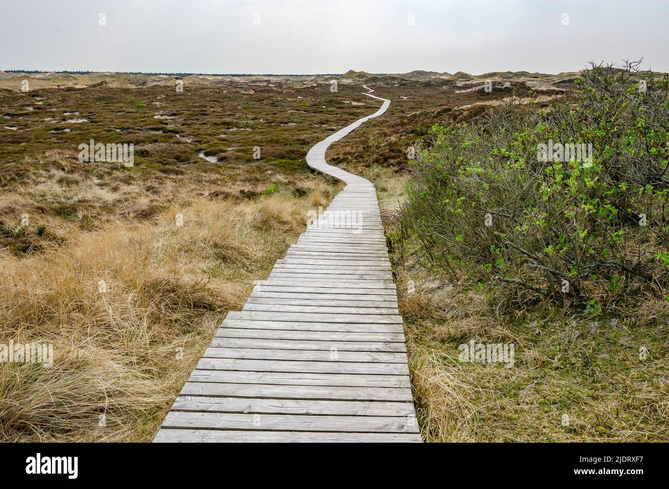 Endless way through the dune landscape Stock Photo - Alamy
