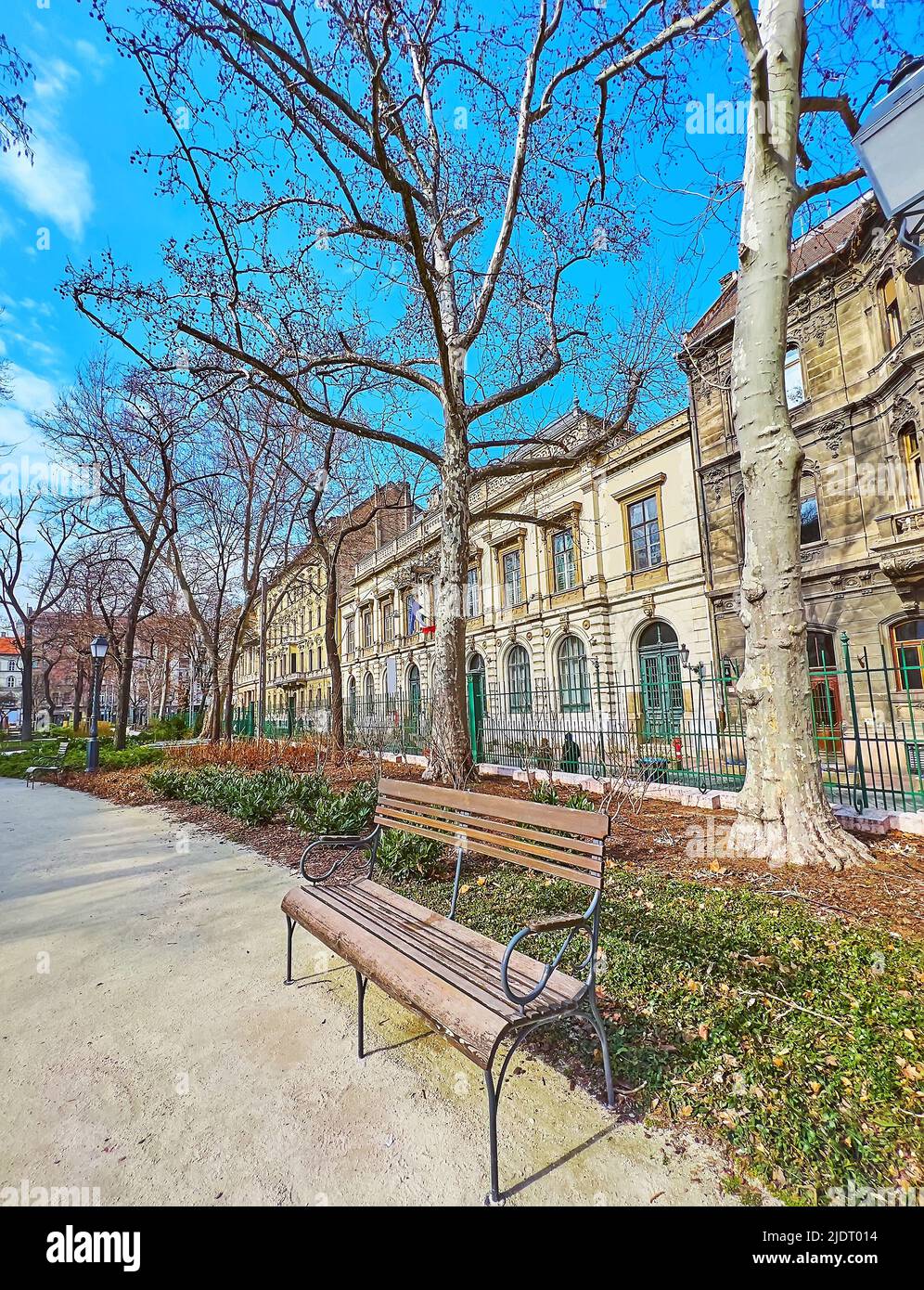 The old wooden bench at the alley of Museum Garden of Budapest, Hungary ...