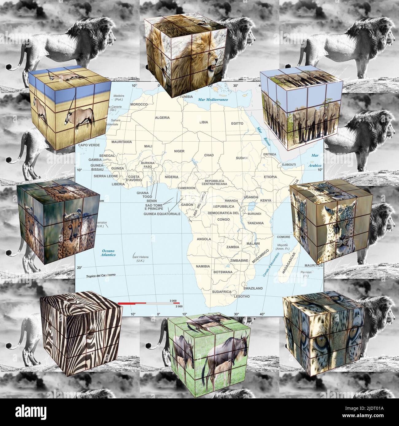 Travel to Africa. African Continent with landscape and animals ...