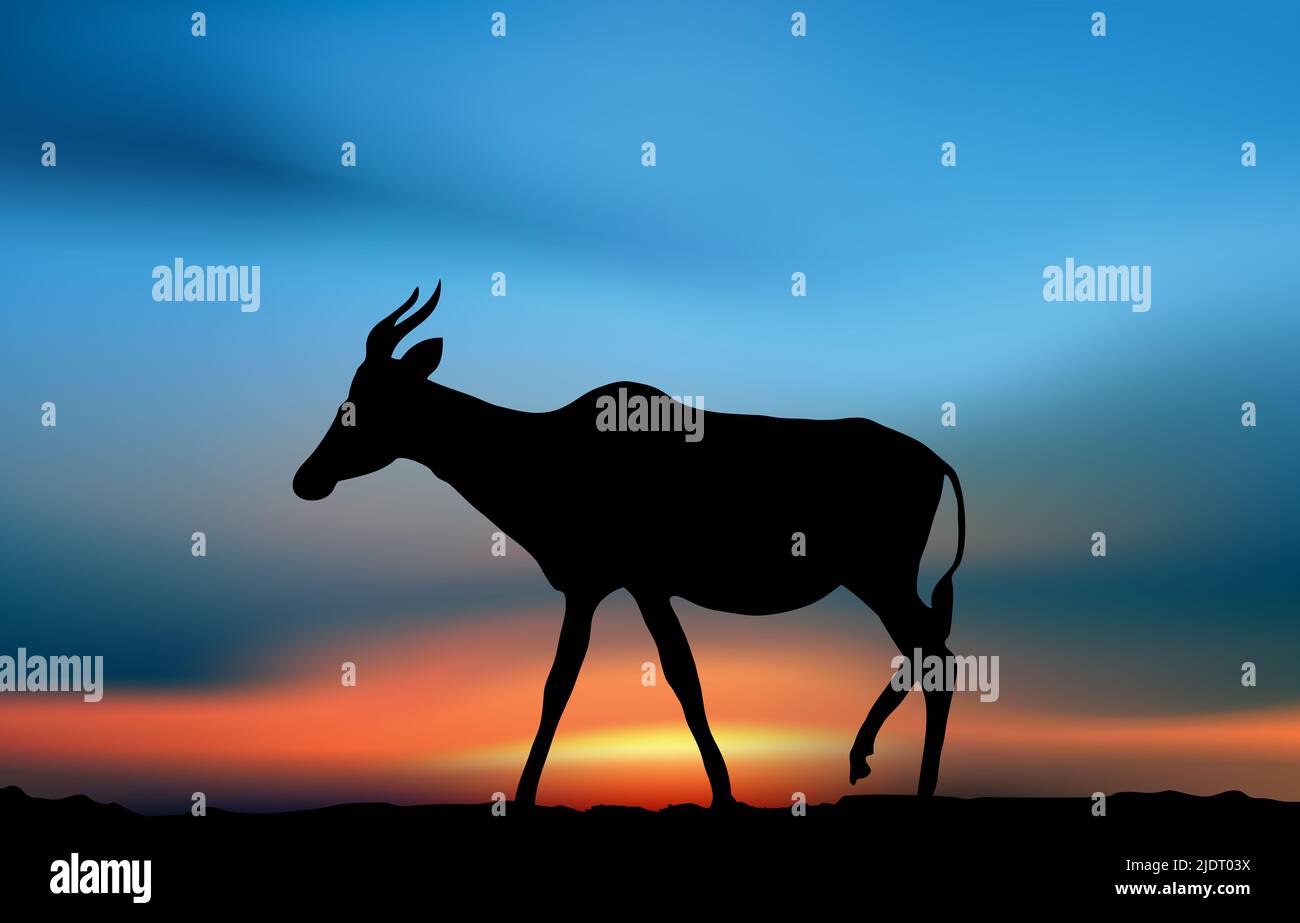 Africa antelope is walking in the savanna at the sunset Stock Photo - Alamy