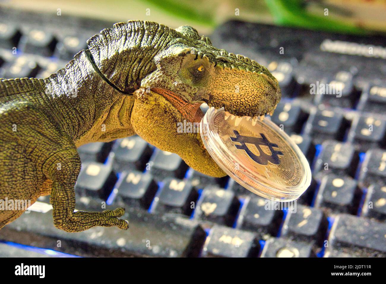 bitcoin dinosaur predator Stock Photo - Alamy