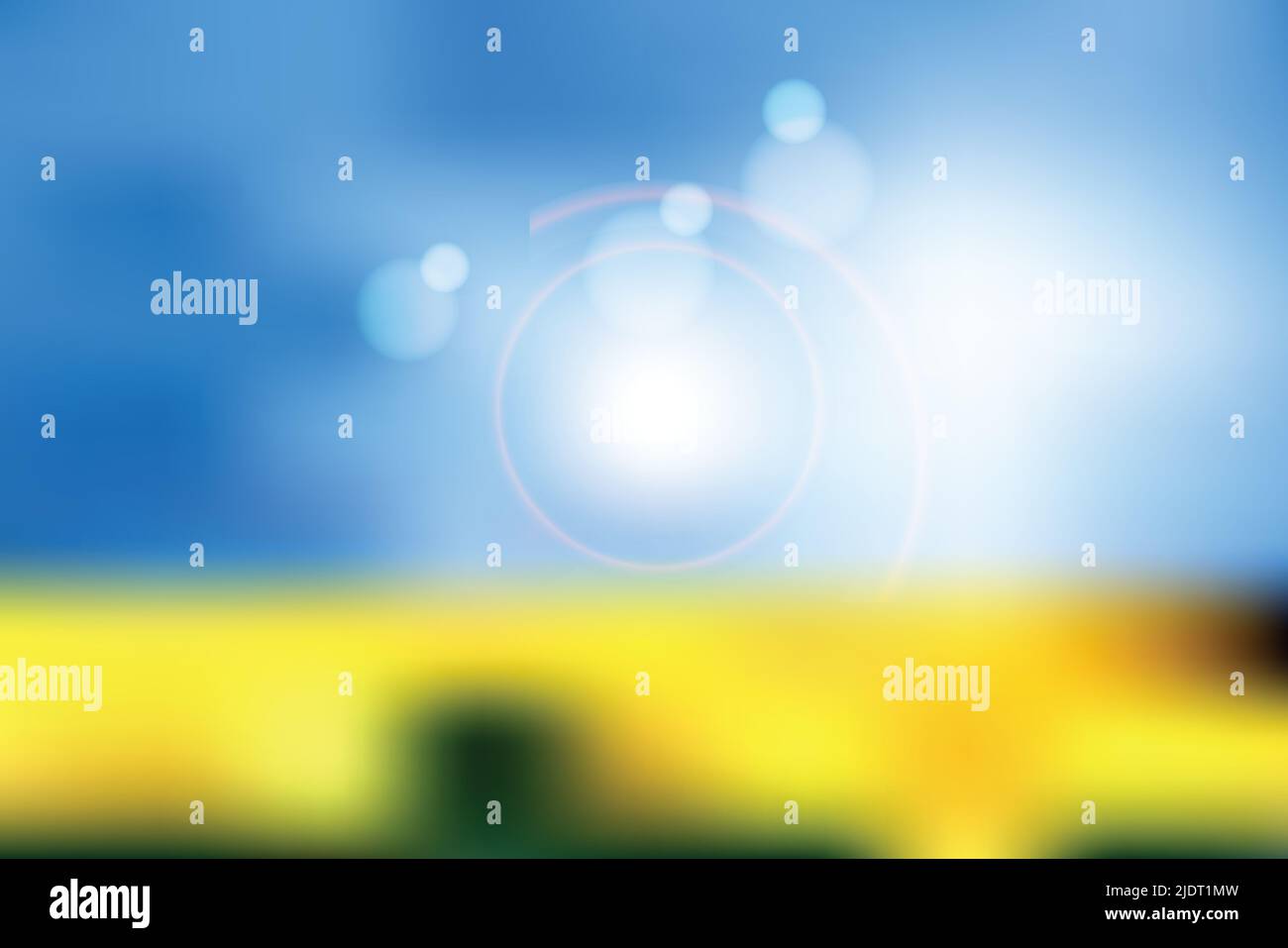 Summer background. Colors, sky and sunflowers field Stock Photo - Alamy