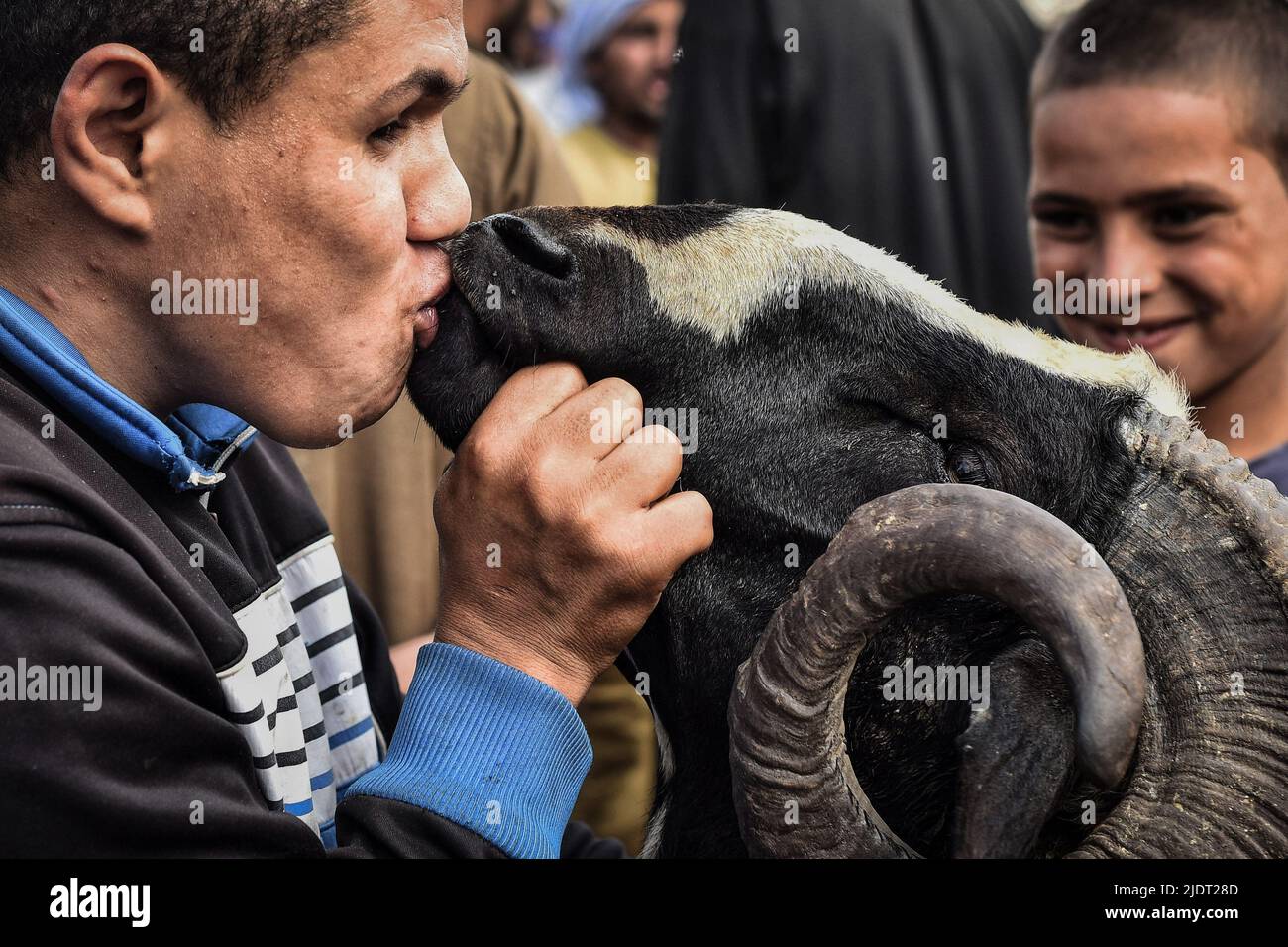 Giza, Egypt. 23rd June, 2022. A young man kisses a sheep at Al-Manashi ...