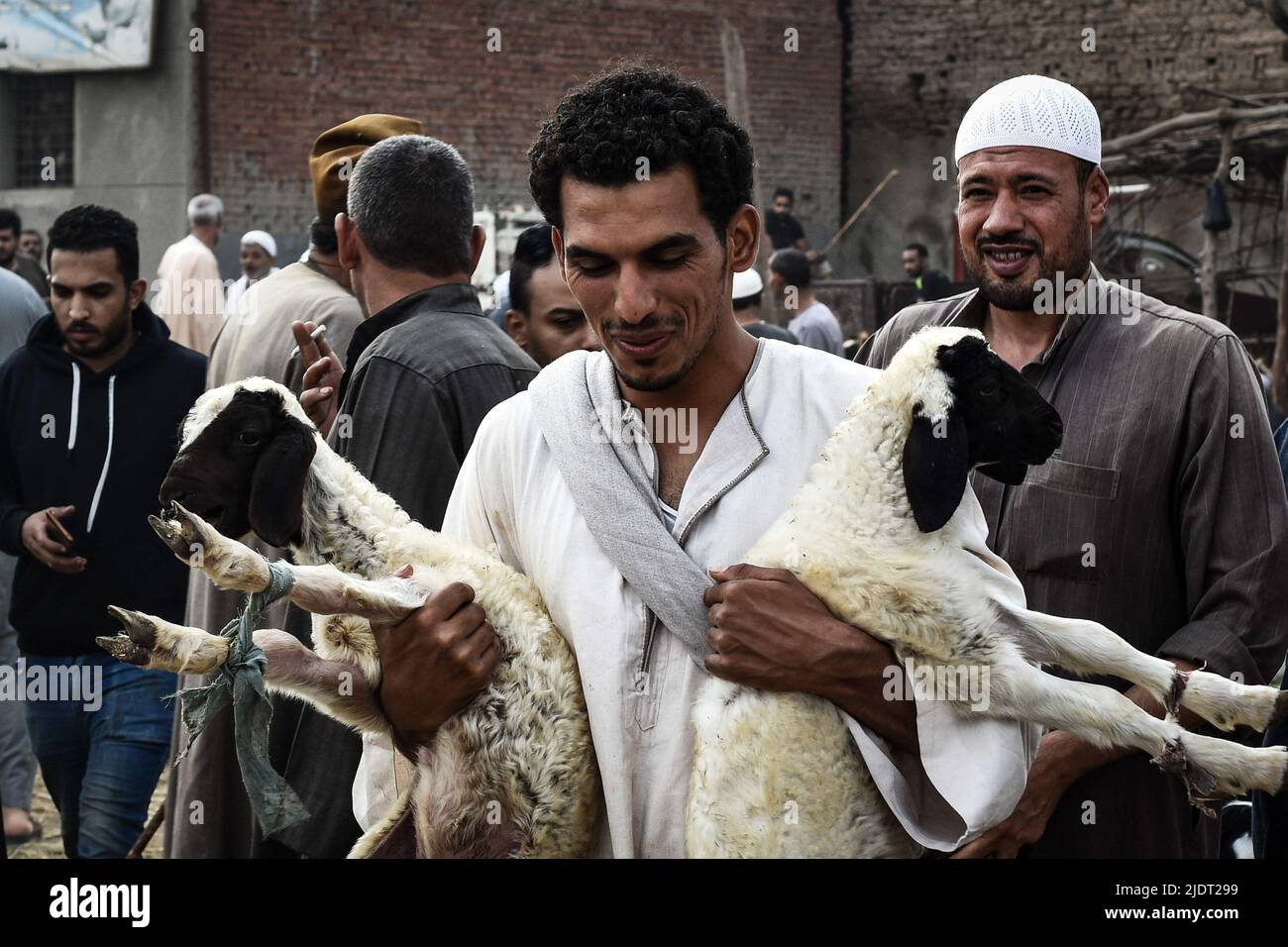 Giza, Egypt. 23rd June, 2022. A man carries a pair of goats at Al ...