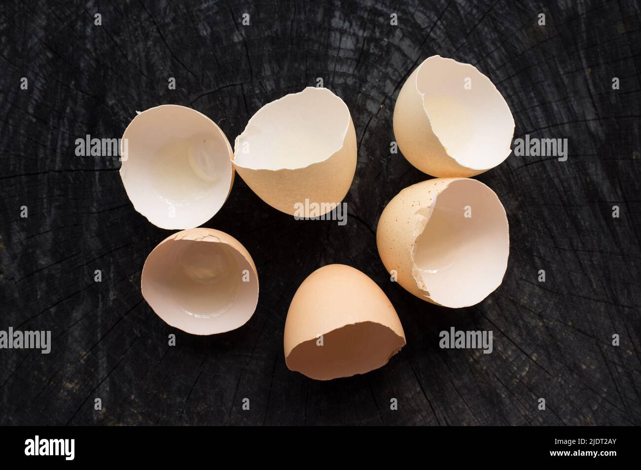 The egg shell lies on a dark kitchen table Stock Photo - Alamy