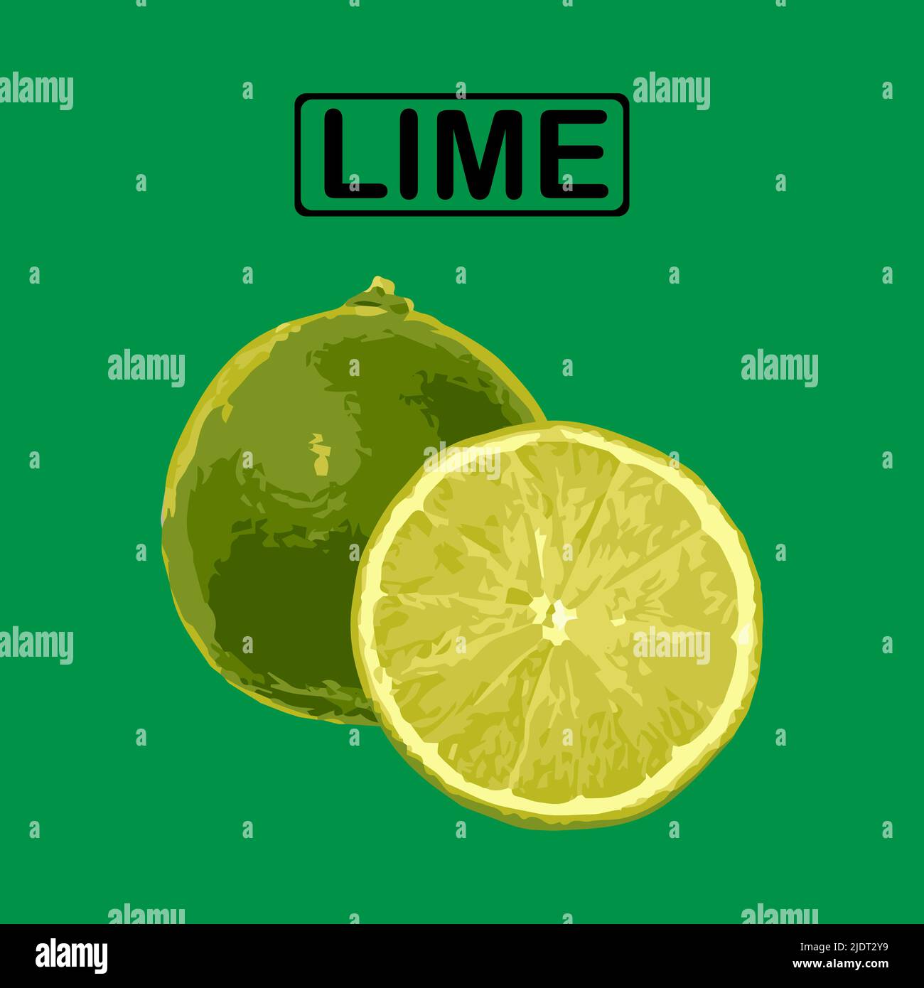 Fresh juicy limes on Stock Vector Images - Alamy