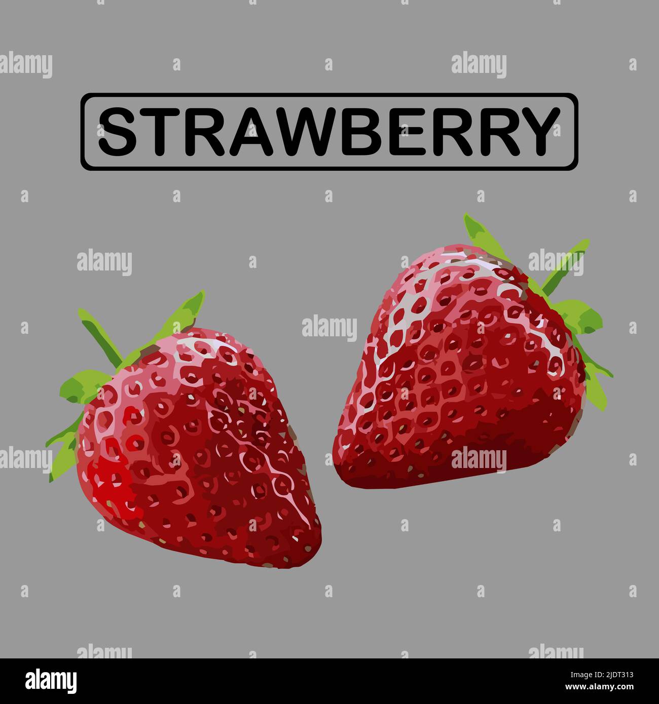 Strawberries on a gray background. Vector Stock Vector Image & Art - Alamy