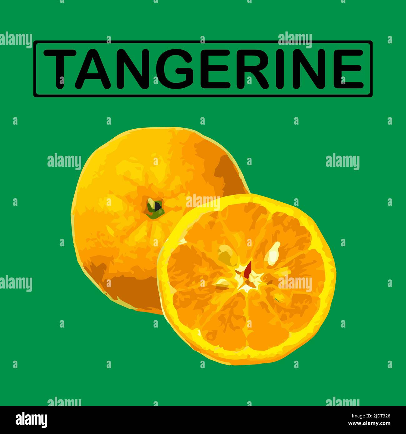 Tangerine on a green background. Vector Stock Vector Image & Art - Alamy
