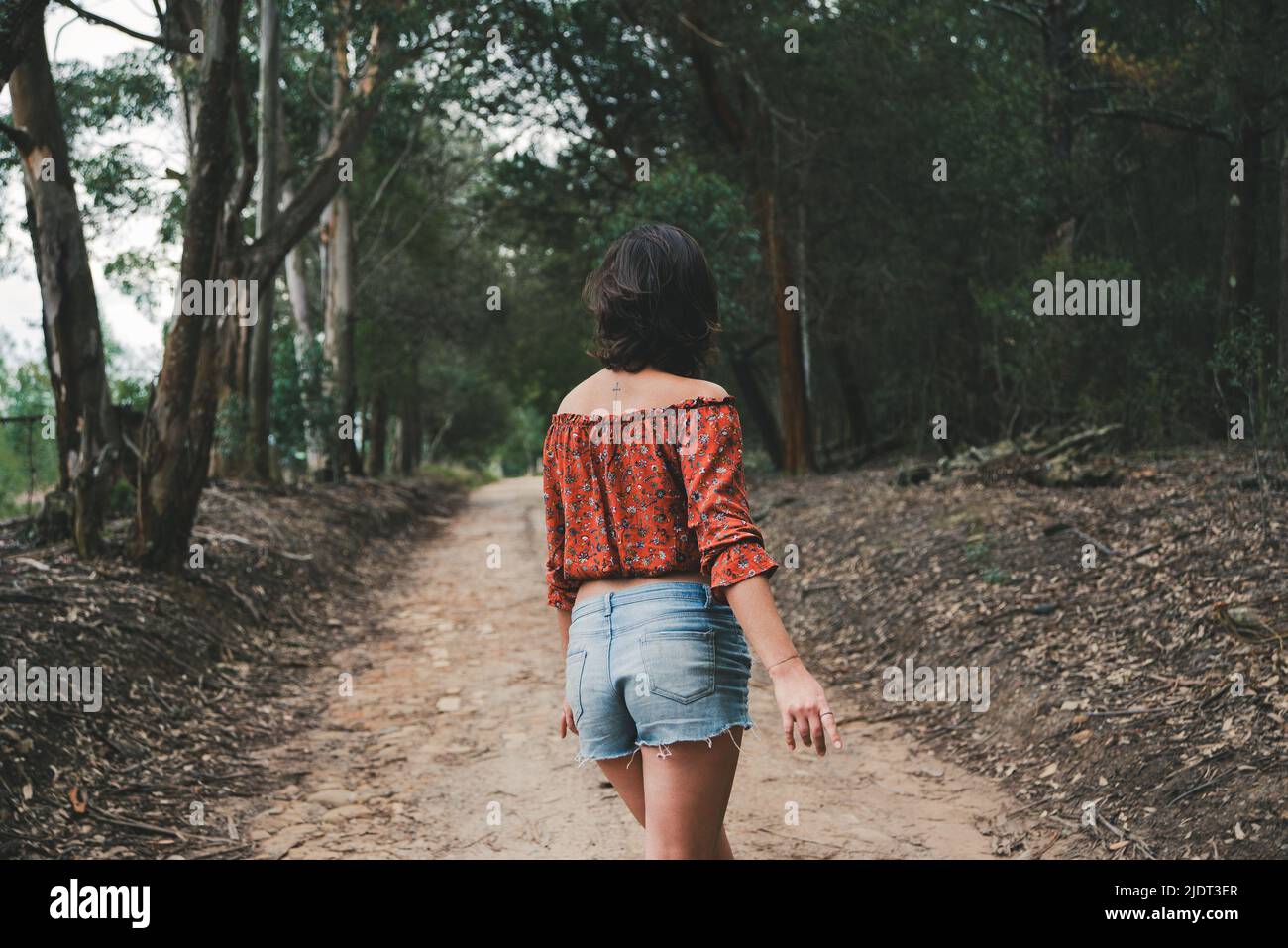 Girl walking along dusty farm road towards forrest Stock Photo - Alamy
